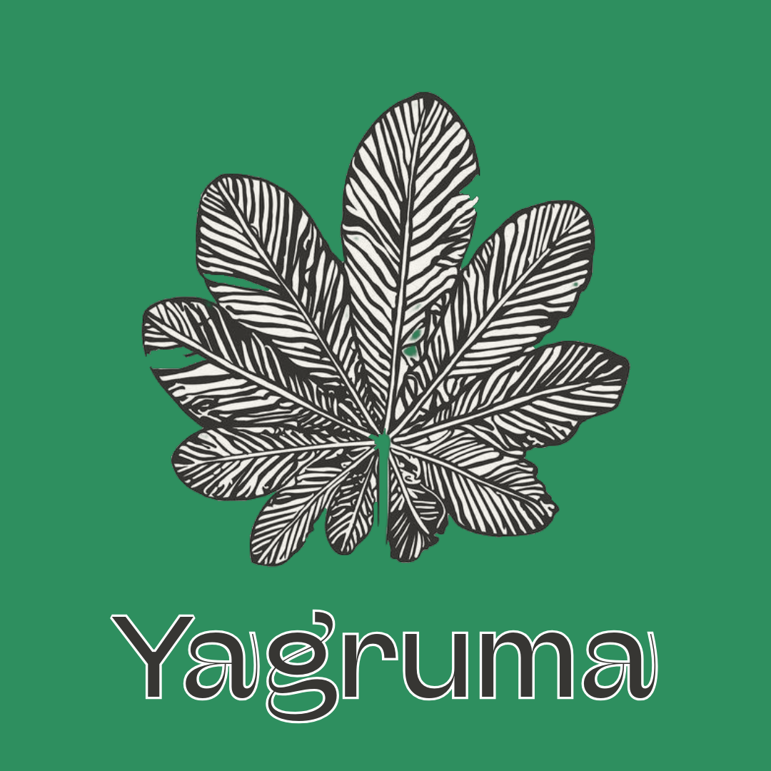 Yagruma Design